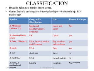 Brucella spp /Brocellosis | PPTX