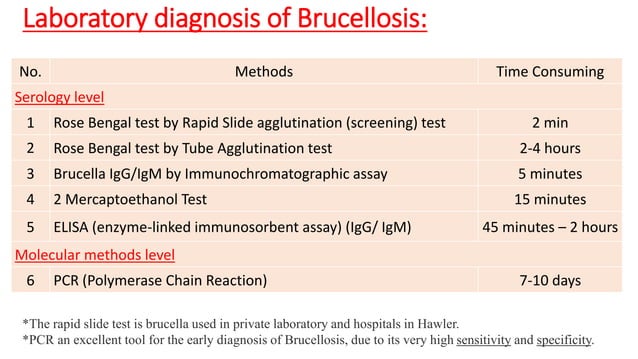 Brucella test (rose bengal test) | PPTX
