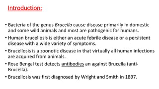 Brucella test (rose bengal test) | PPT