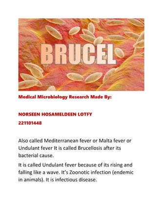 Brucella | PDF