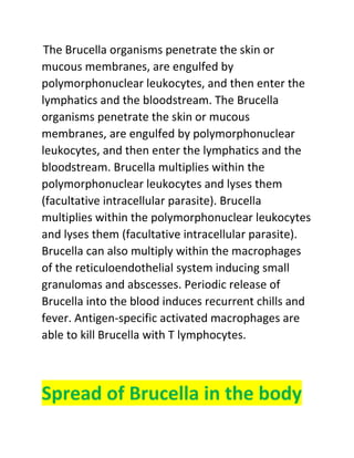 Brucella | DOCX