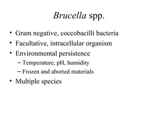Brucellosis | PPT