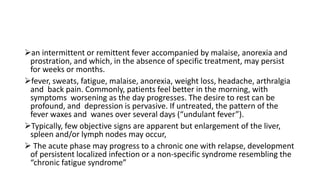Brucellosis | PPTX | Reproductive Health | Diseases and Conditions