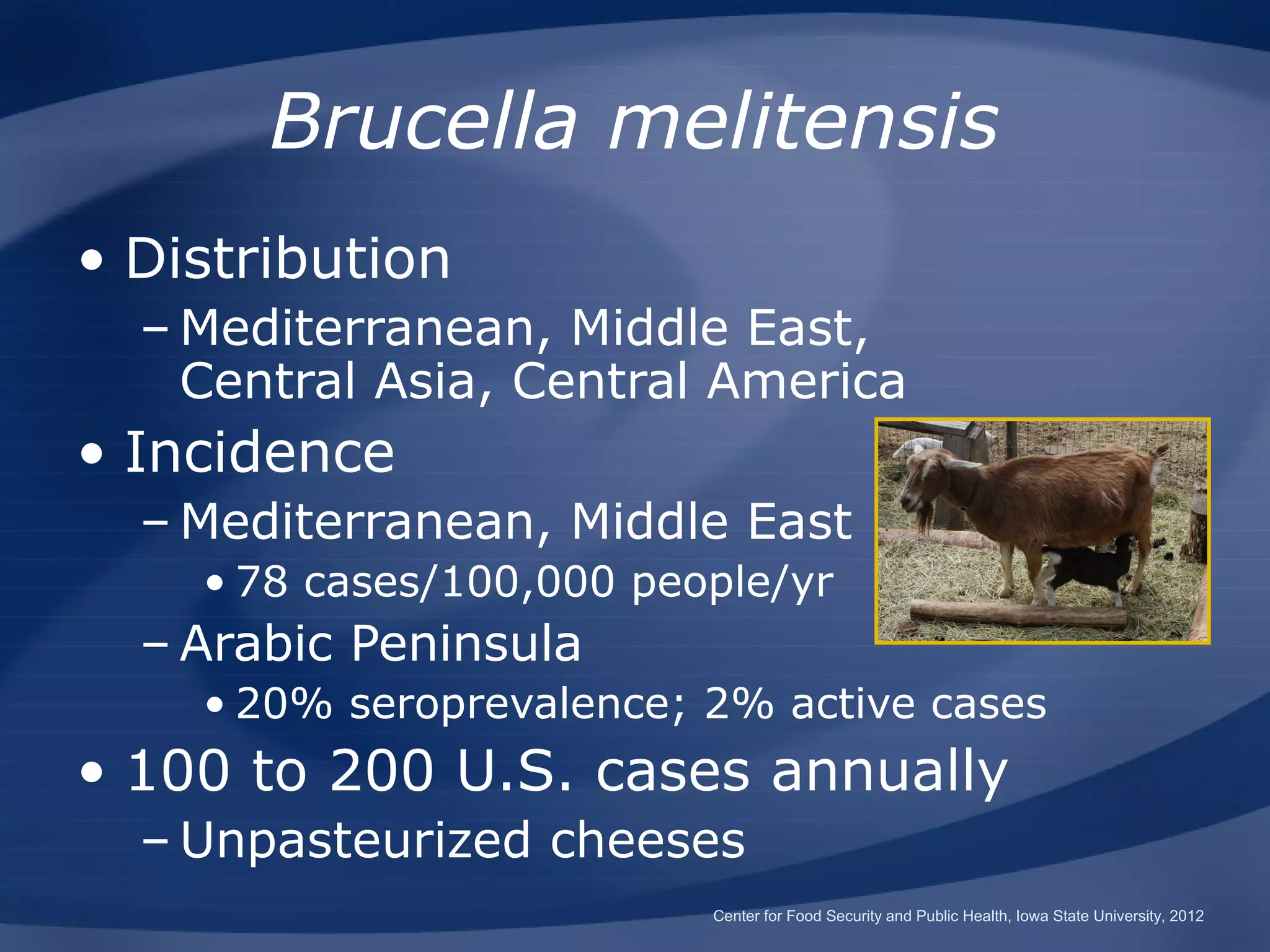 Brucellosis | PPT