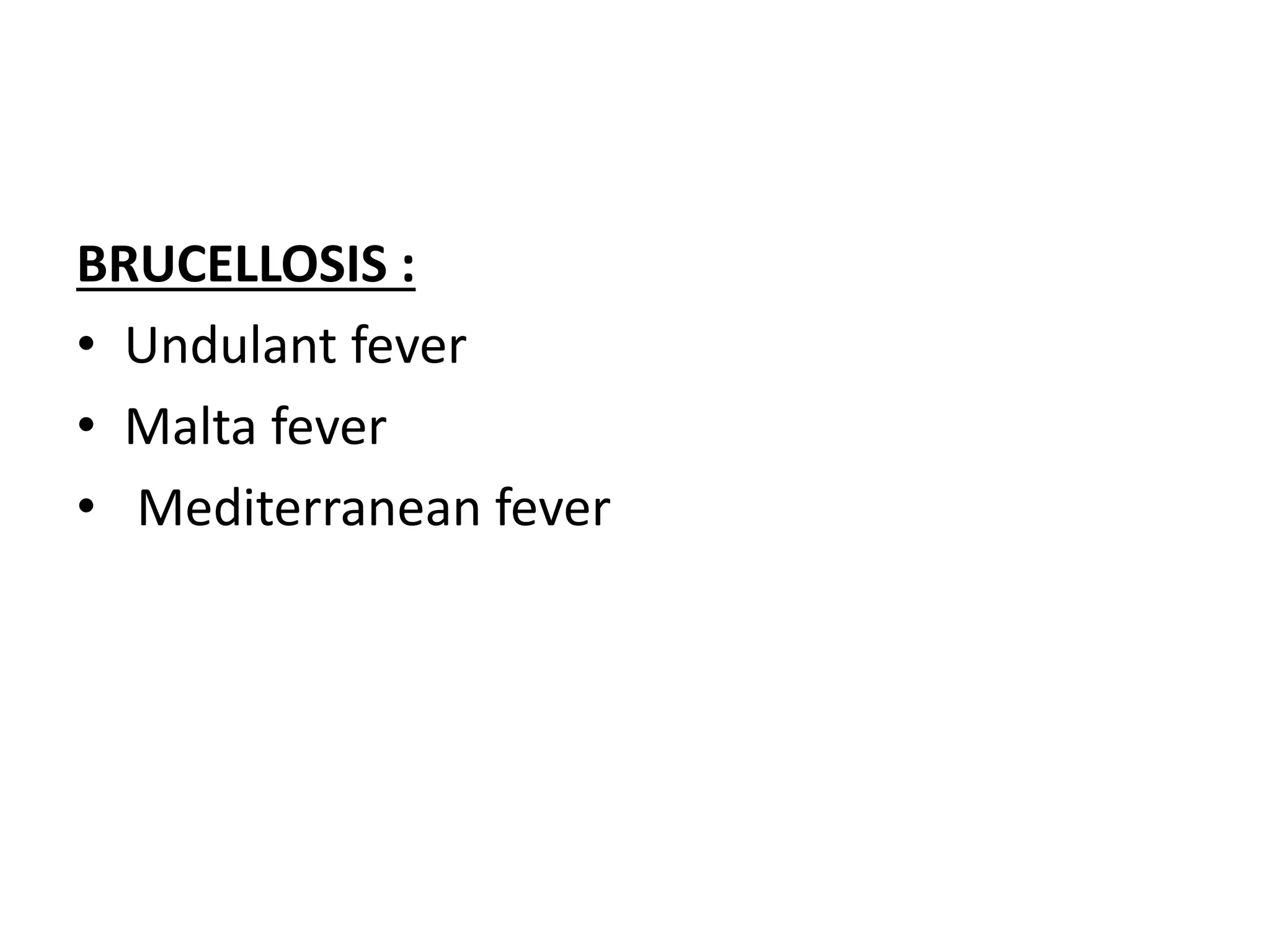 Brucellosis | PPTX