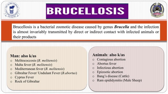 Brucellosis.ppt