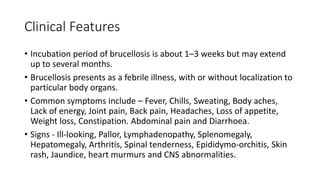 Brucellosis.pptx | Digestive Disorders | Diseases and Conditions
