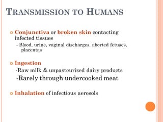 brucellosis and clinical features , .pdf