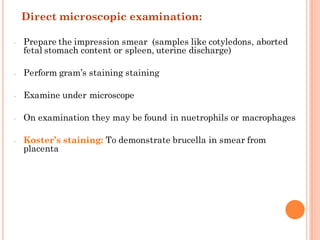 brucellosis and clinical features , .pdf