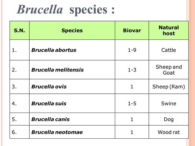 brucellosis and clinical features , .pdf | Reproductive Health ...