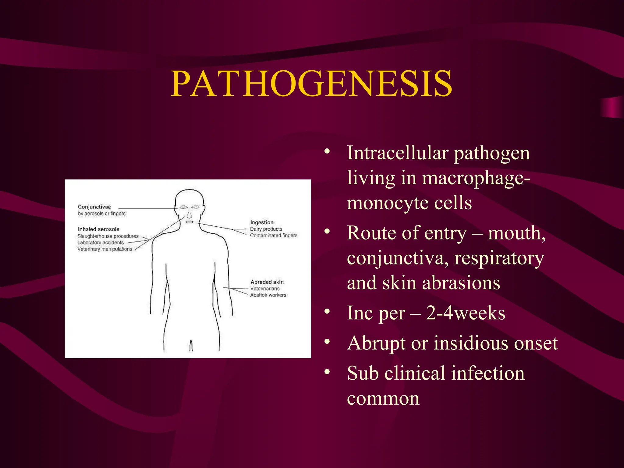 Brucellosis_aetio, patho, lab diagnosis.ppt