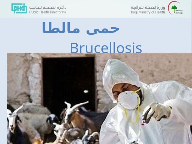 Brucellosis: Causes, Symptoms, and Treatment | PPT