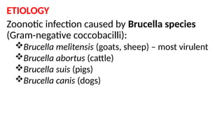 BRUCELLOSIS a zoonoc disease that can spread from animal.pptx