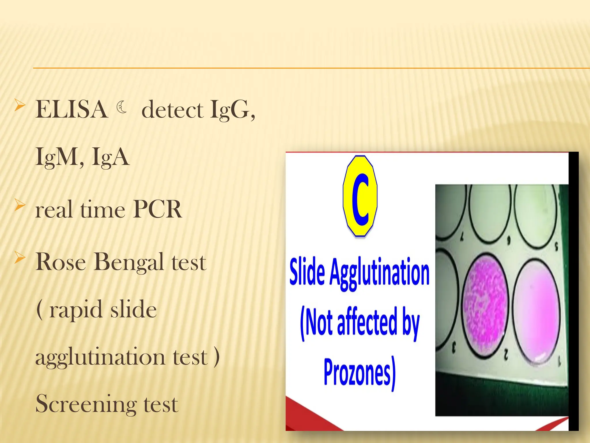 Brucellosis disease or undulatingfever-.pptx