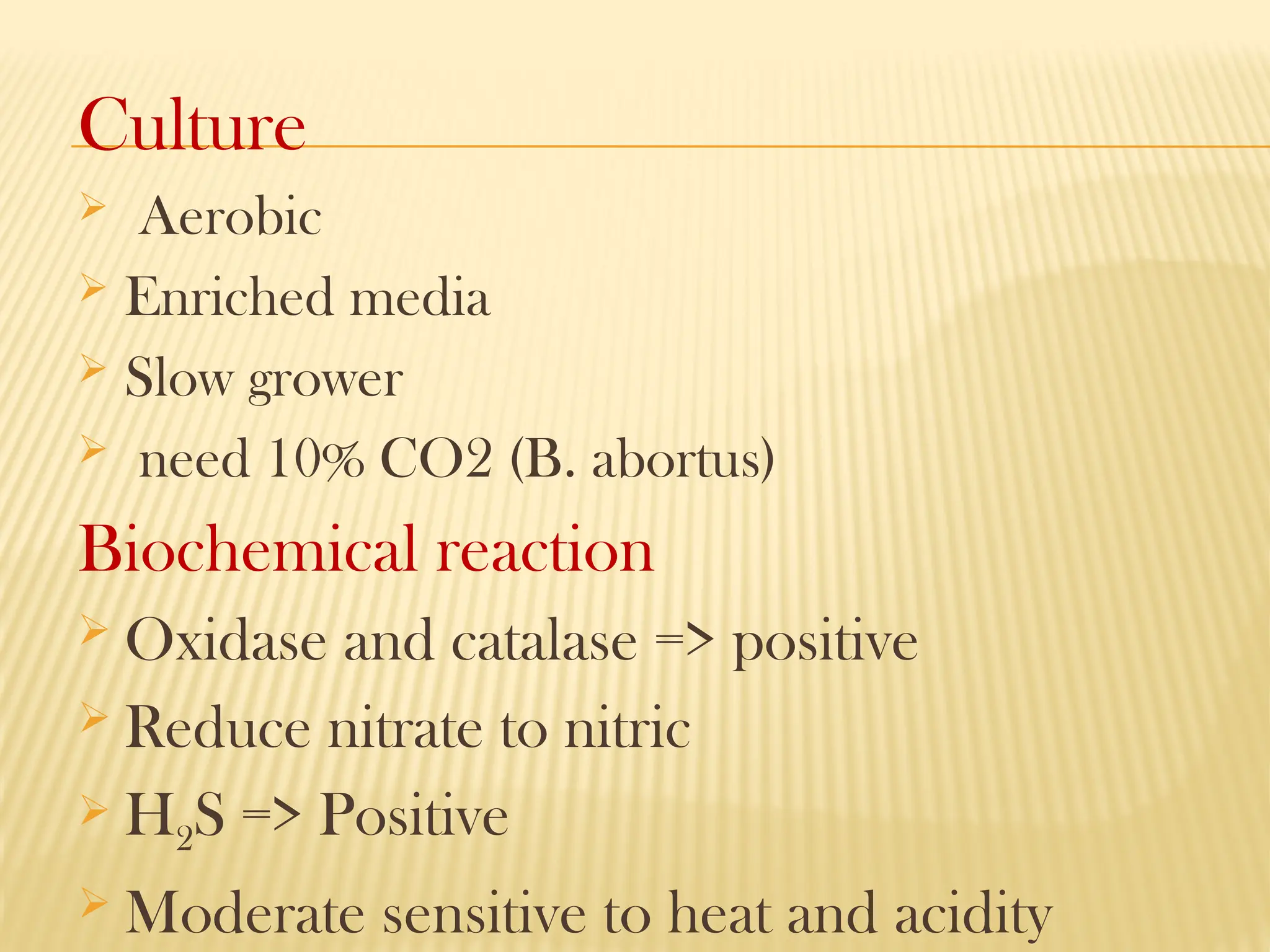 Brucellosis disease or undulatingfever-.pptx