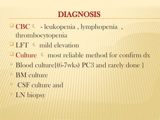 Brucellosis disease or undulatingfever-.pptx