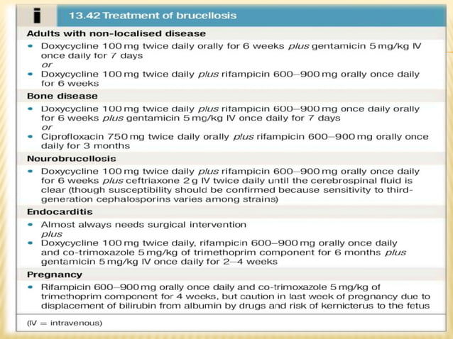 Brucellosis disease or undulatingfever-.pptx
