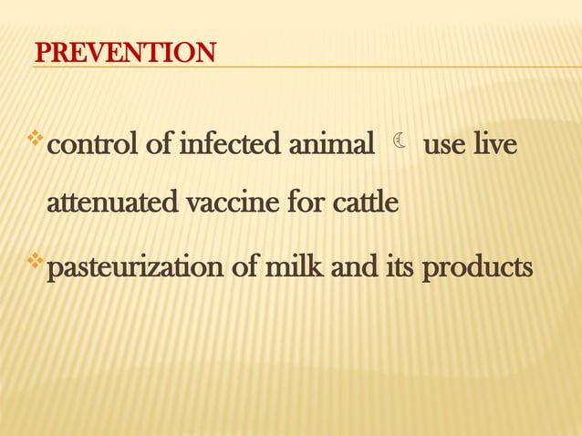 Brucellosis disease or undulatingfever-.pptx
