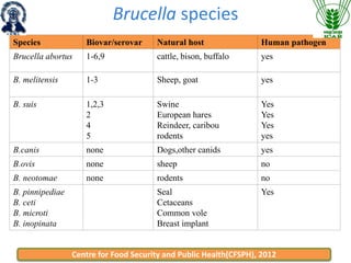 Brucellosis a negative modulator of reproduction | PPT