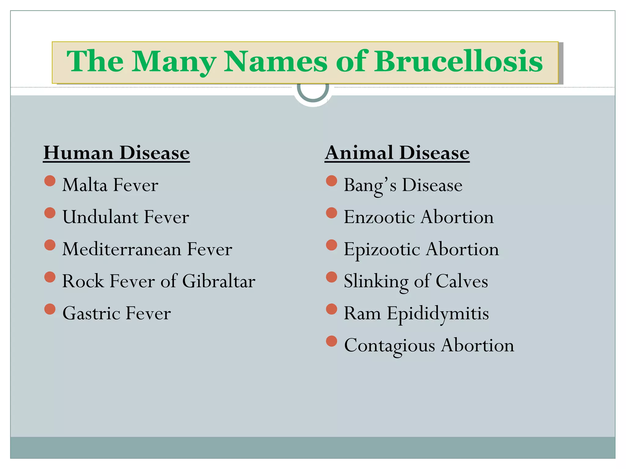 Brucellosis | PPT