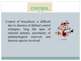 Brucellosis | PPT