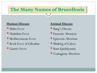 Brucellosis | PPT
