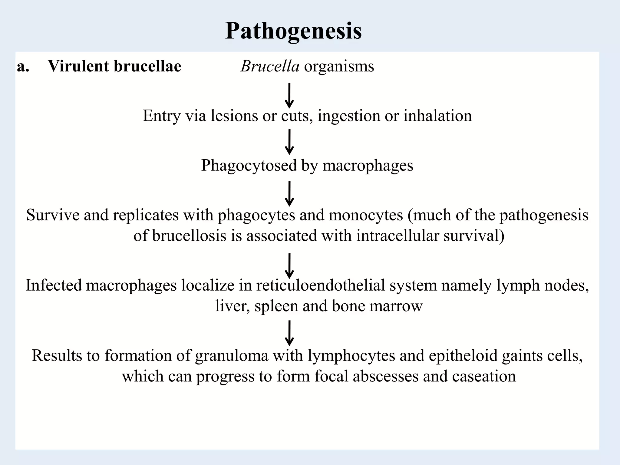 Brucellosis ppt | PPTX