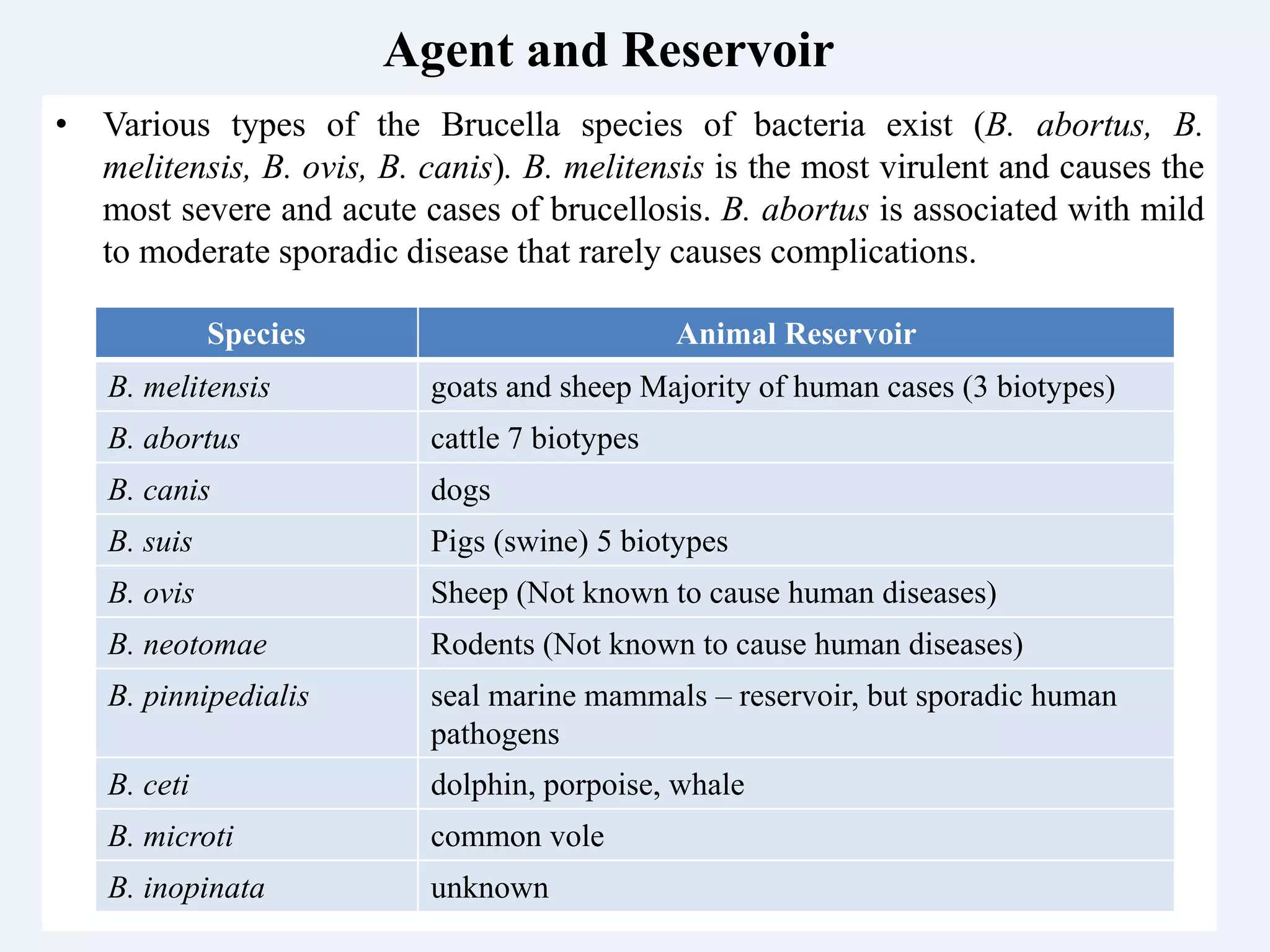 Brucellosis ppt | PPTX