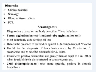 Brucellosis ppt | PPTX
