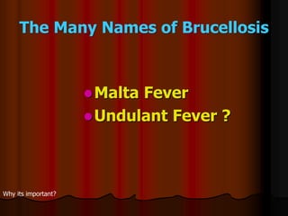 Brucellosis 2 | PPTX
