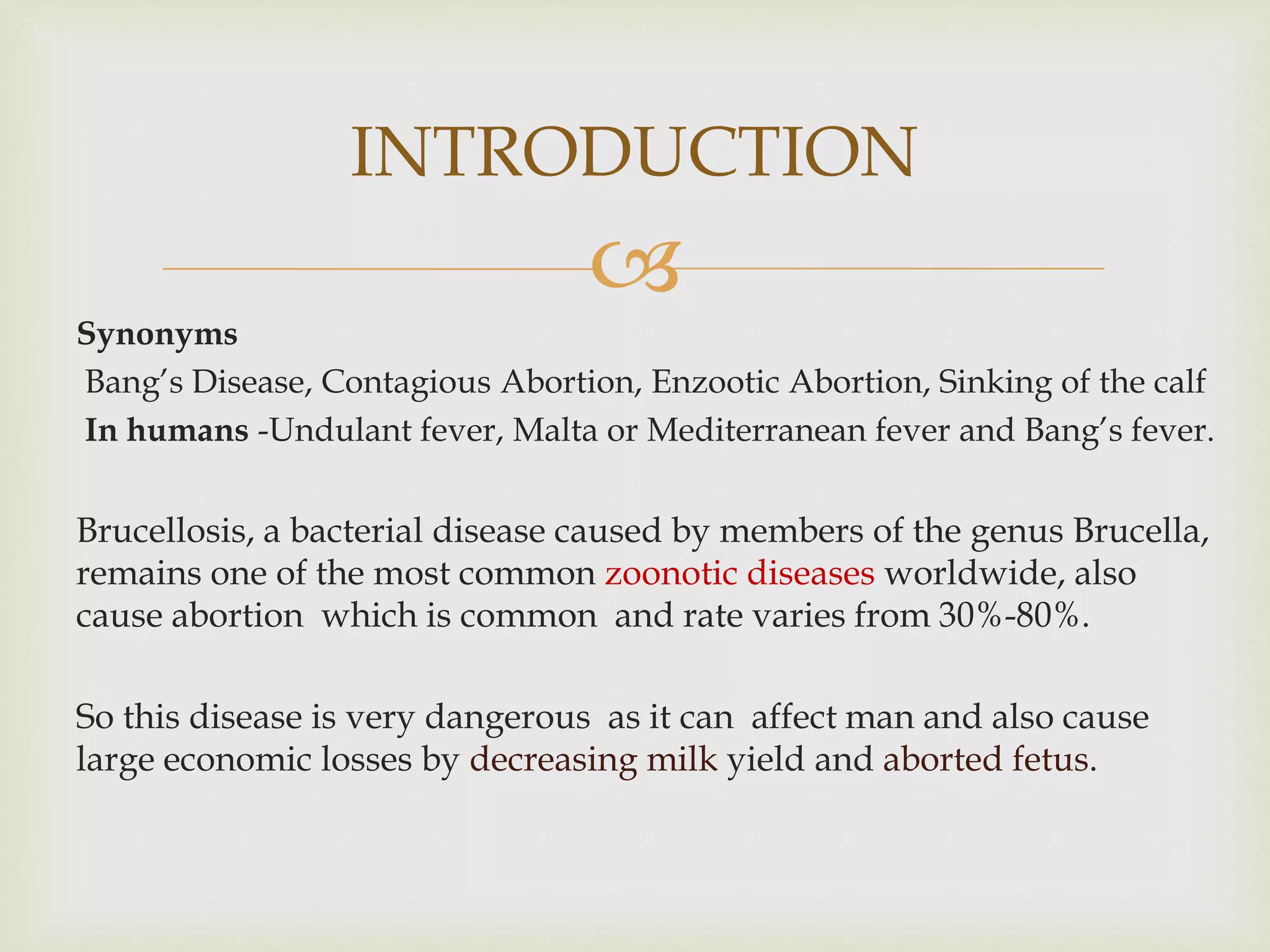 Brucellosis | PPTX