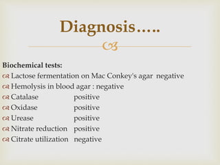 Brucellosis | PPTX