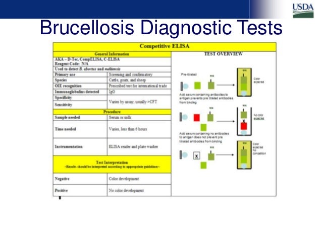 Differential diagnosis of brucellosis serologic reactions