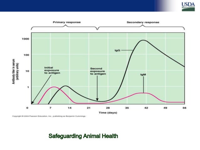 Differential diagnosis of brucellosis serologic reactions