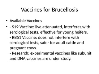 Brucellosis in Cattle of veterinary importance Presentation.pptx