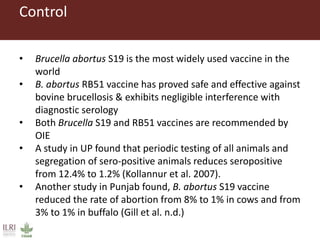 Epidemiological research on brucellosis in India: Knowledge generated ...