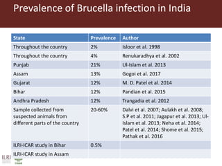 Epidemiological research on brucellosis in India: Knowledge generated ...