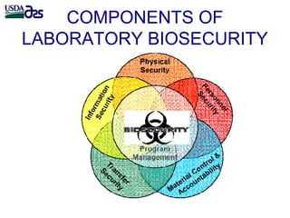 Laboratory biosafety and biosecurity issues related to Brucella ...