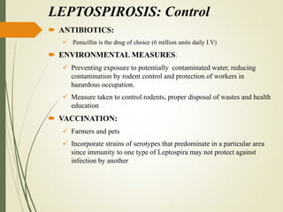 Brucellosis & leptospirosis | PPTX