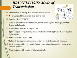 Brucellosis & leptospirosis | PPT