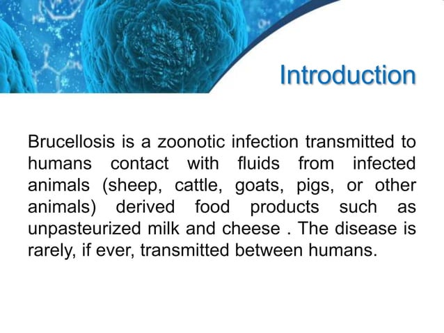 Brucellosis | PPTX | Infectious Diseases | Diseases and Conditions
