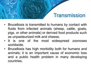 Brucellosis | PPTX | Infectious Diseases | Diseases and Conditions