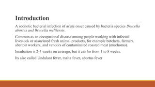 BRUCELLOSIS .pptx