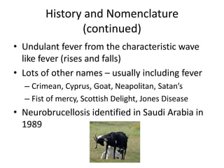Brucellosis: The bugs and the disease | PPTX