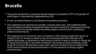 Brucellosis an approach to diagnosis.pptx