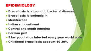 BRUCILOSIS.pptx