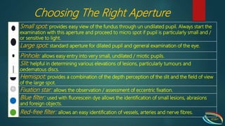 Bruckner test | PPTX