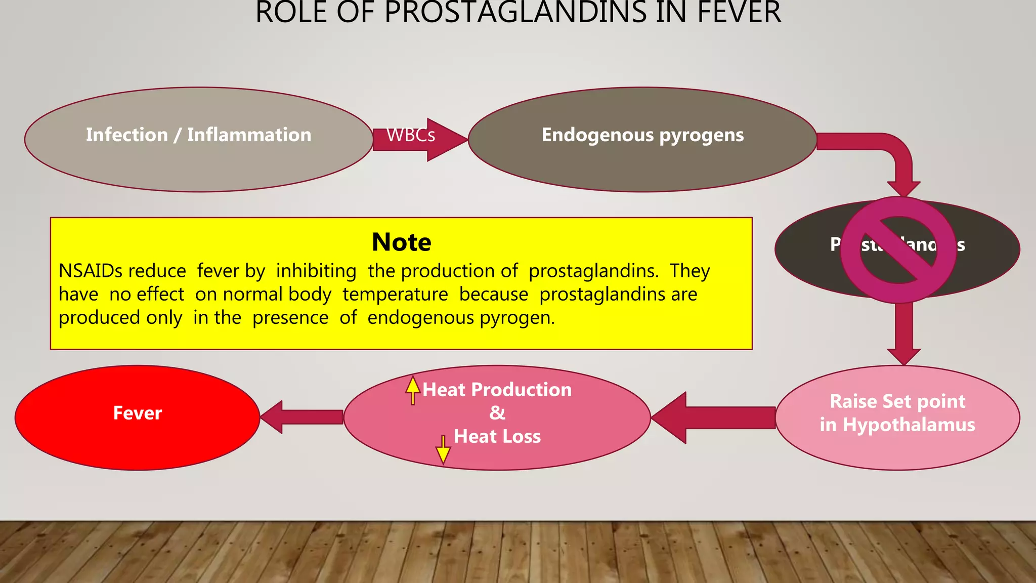 Ibuprofen Presentation.pptx