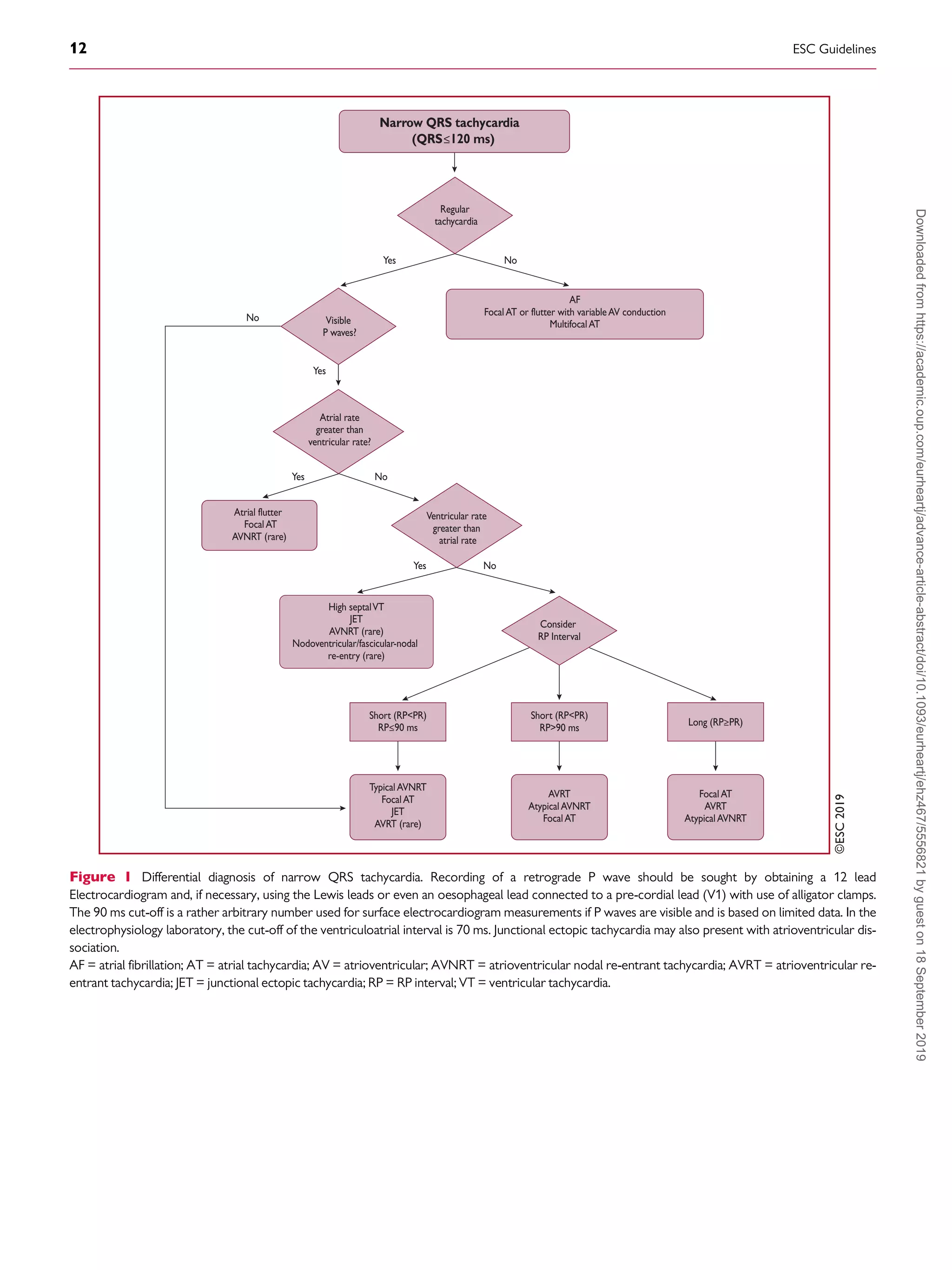 Brugada 2020--esc-guidelines-for-the-management-supraventricular ...