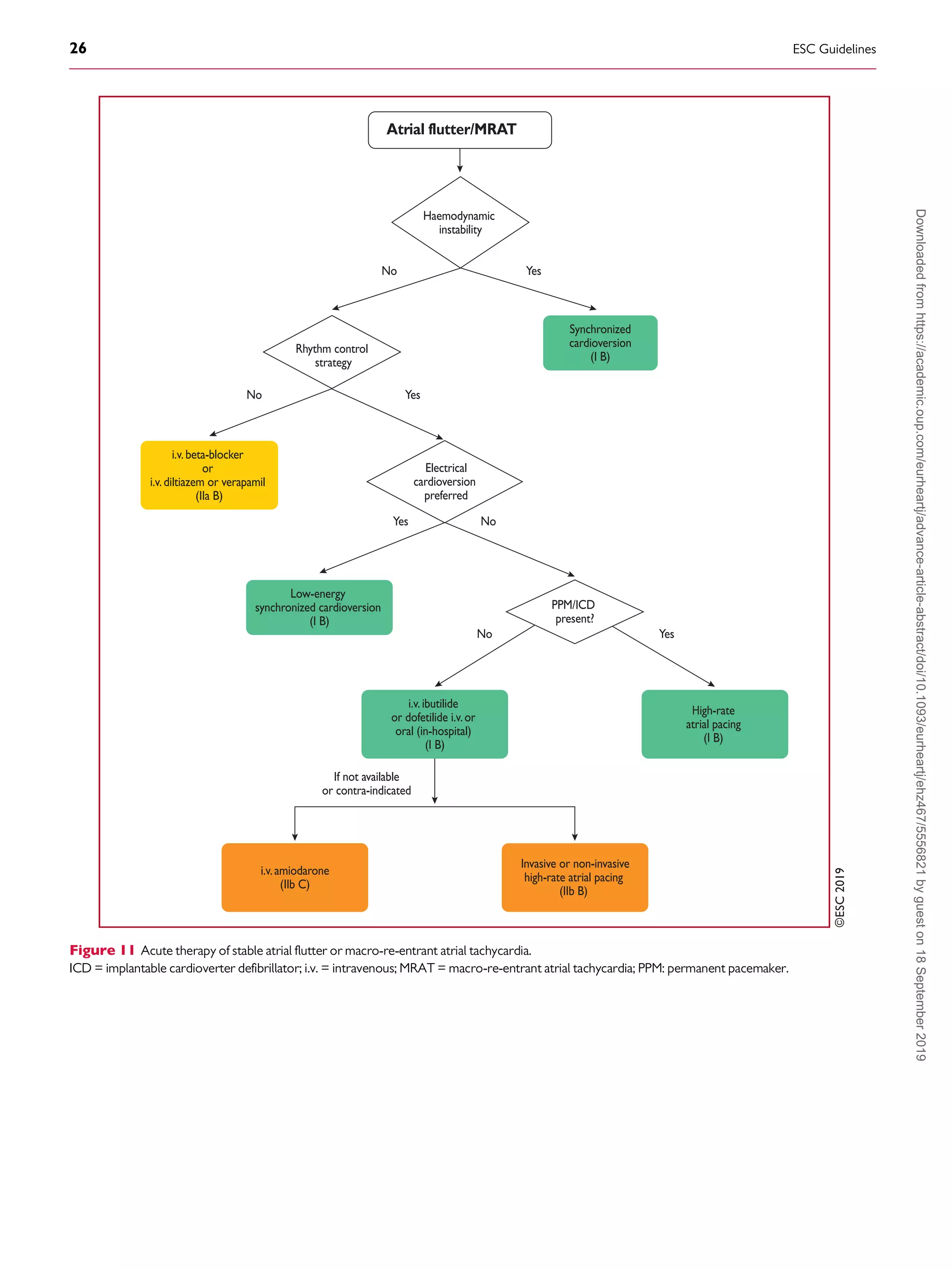 Brugada 2020--esc-guidelines-for-the-management-supraventricular ...